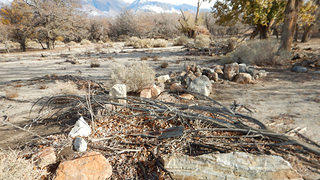 Restoring the Historic Japanese Gardens of Manzanar | National Trust ...