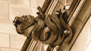 From Wild to Whimsical: The Gargoyles and Grotesques of Washington ...