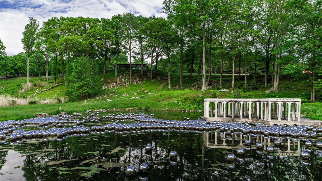 narcissus reflection pool