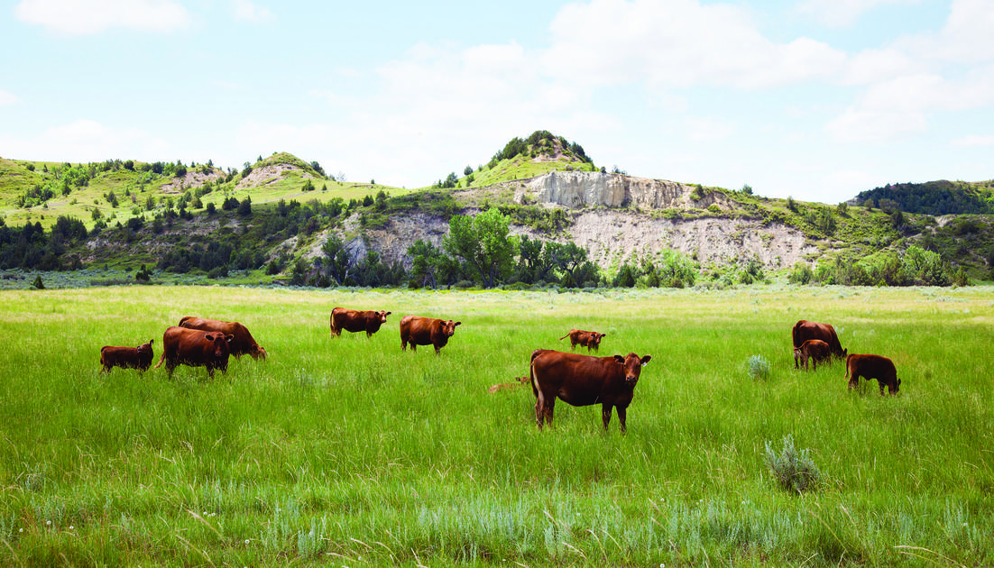 Theodore Roosevelt's Elkhorn Ranch | National Trust for Historic ...
