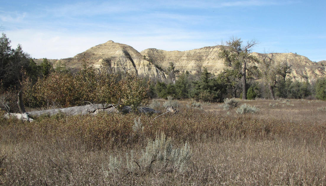 Recreating Teddy Roosevelt's Elkhorn Ranch Cabin | Theodore Roosevelt's ...