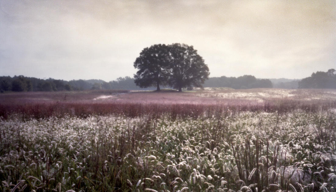 How A Contemporary Photojournalist Captured The Landscapes Of The Civil ...