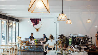 From Mod Motel to Creative Hub: The Metlo in Denver | National Trust ...