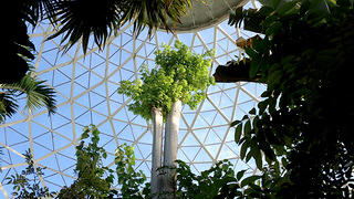 Milwaukee's Mitchell Park Domes | National Trust for Historic Preservation