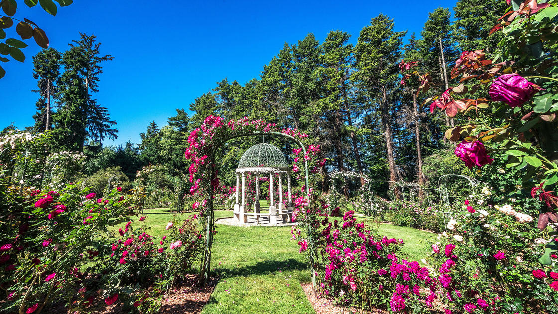 Gardens At National Trust Historic Sites Provide A Breath of Fresh Air ...