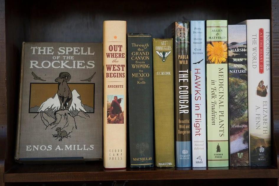 10 Fun Historical Fiction Books to Add to Your Reading List | National ...