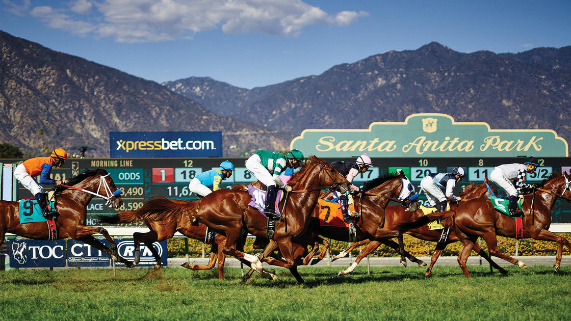 Experience Unbridled History at These 9 Stables and Racetracks ...