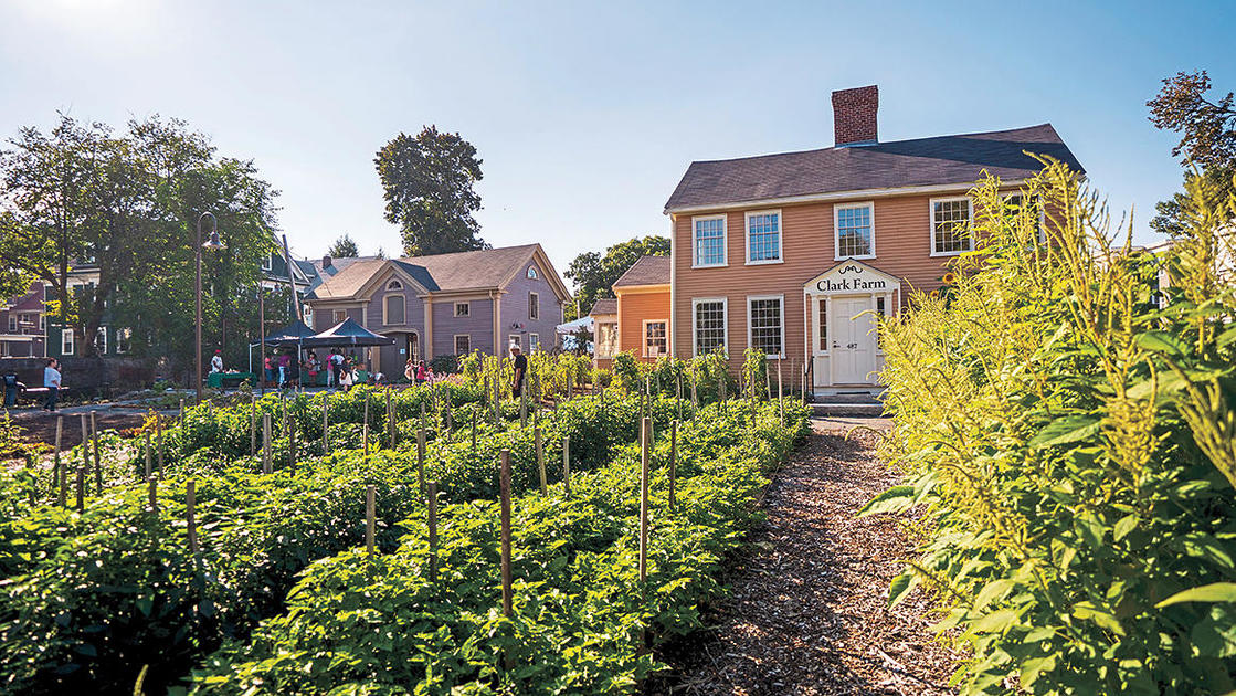 A Revitalized Historic Farm Thrives in One of Boston’s Oldest ...