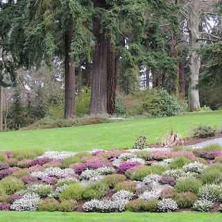 Dunn Gardens | National Trust for Historic Preservation