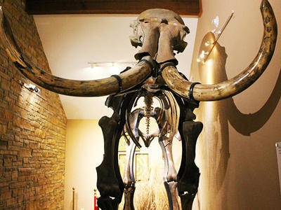 Museum of Native American History | National Trust for Historic ...