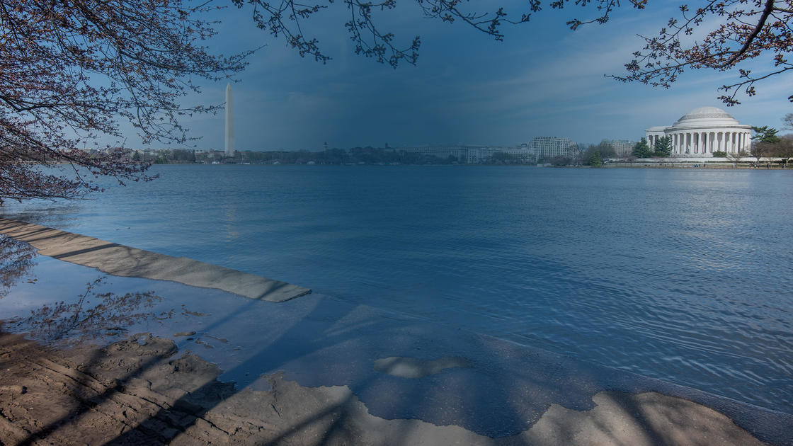 Explore the New Tidal Basin Ideas Lab Exhibition | Save the Tidal Basin ...
