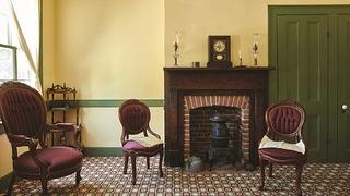 How the Free Black Community of Weeksville Rose in 19th-Century ...