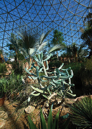 Photo Essay: Discover Milwaukee's Dazzling But Endangered Mitchell Park ...