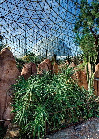 Photo Essay: Discover Milwaukee's Dazzling But Endangered Mitchell Park ...