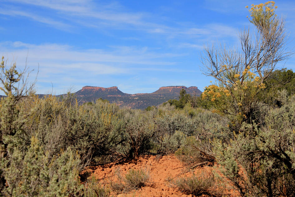 Angelo Baca: Bears Ears and Working with Native Communities to Preserve ...