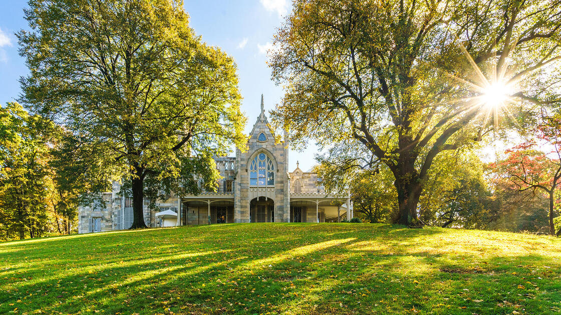 8 Great Trees to Visit at National Trust Historic Sites | National ...
